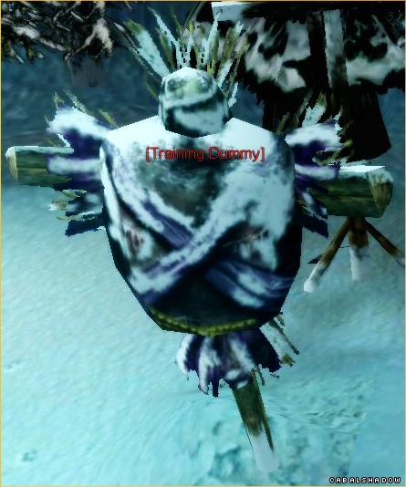 Training Dummy - Official Cabal Wiki