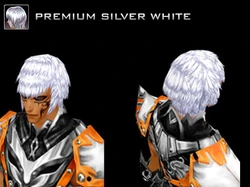 Season Hairstyle - Official Cabal Wiki