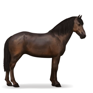 Brumby | Caballow Wiki | Fandom