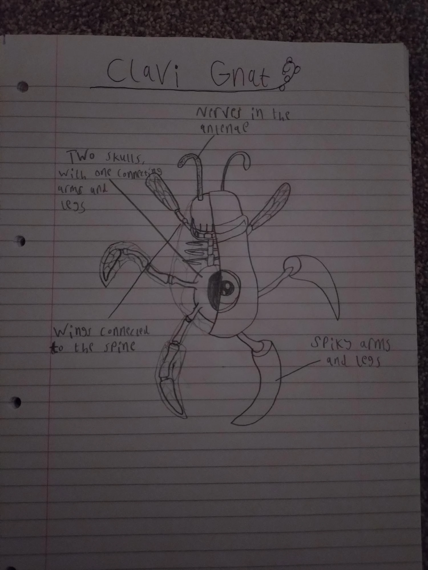 I did Clavi Gnat's anatomy! | Fandom