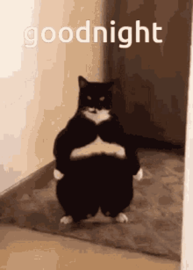 Have a gn gif | Fandom