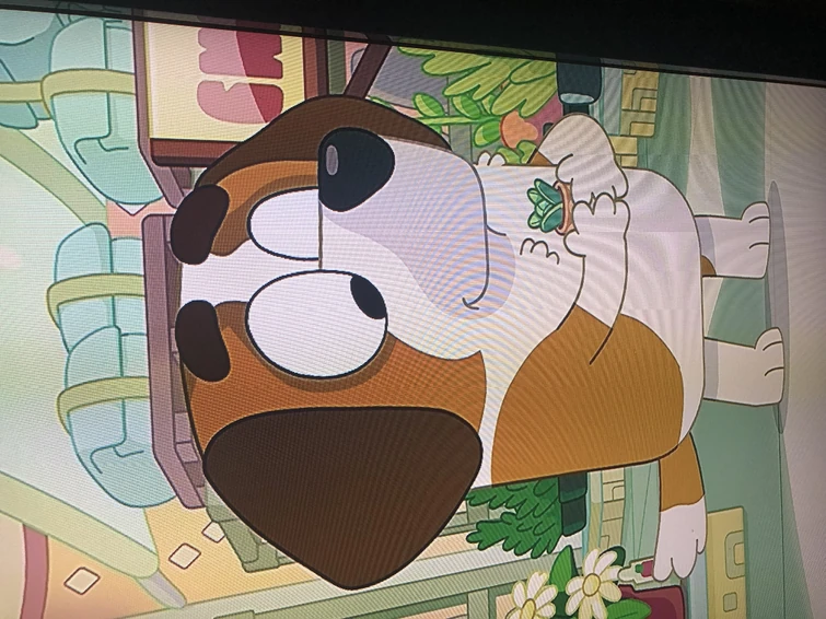 Discuss Everything About Bluey Wiki | Fandom