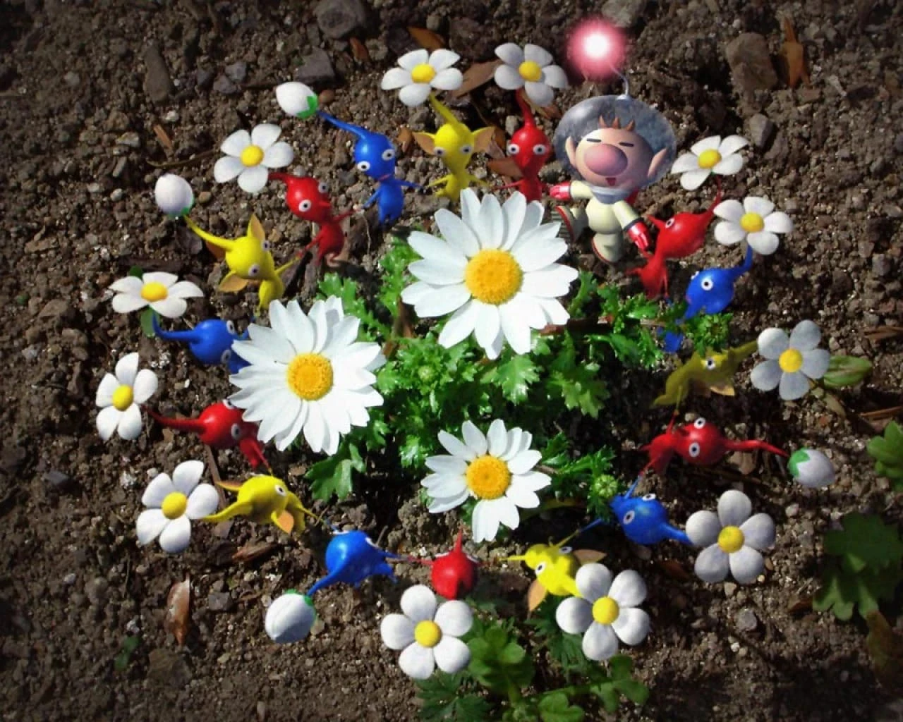 Pikmin Live Action Movie By Warner Bros Legendary and Village Roadshow ...