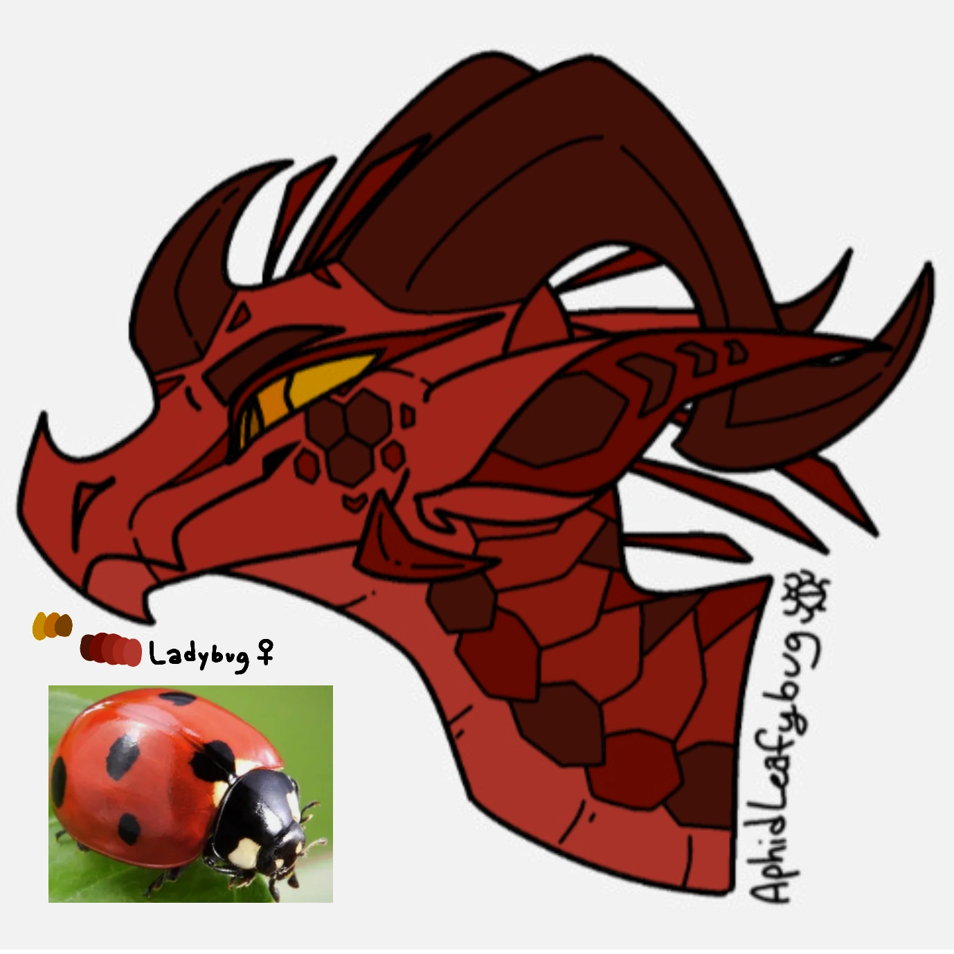 Ladybug!! (TW for a bug reference photo) | Fandom