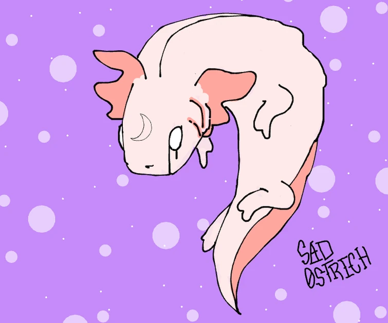 Axolotl fanart | Fandom