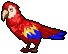 Parrot | Cactus McCoy Wiki | Fandom
