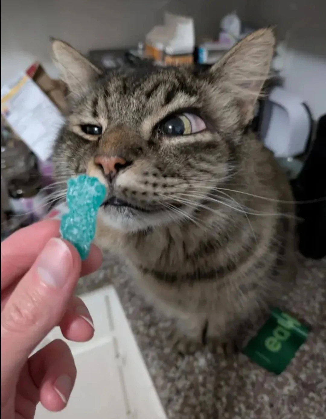 replace the cat and the sour patch kid with something related to ...