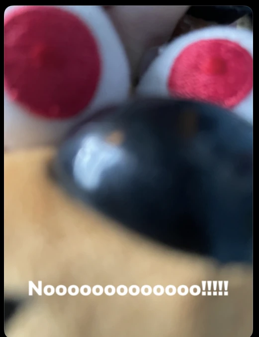 Noooooooooooooo!!!!!!!! | Fandom