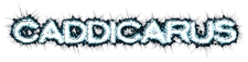 The Caddicarus Show | Caddicarus Wiki | Fandom