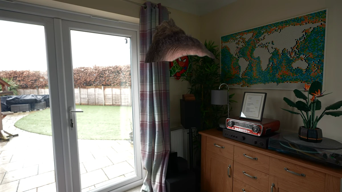 Top of my own head | Caddicarus Wiki | Fandom