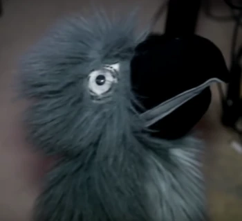 Percy Parrot | Caddicarus Wiki | Fandom