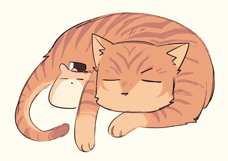 deyshshajshajjwakskewwowaaaaaaaaaaaaaaaaaaa | Fandom