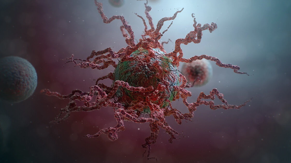 Stade 4 | Wiki Caemlyn | Fandom