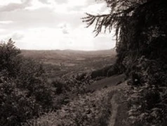 Machen | Caerleon oWoD Chronicle Wiki | Fandom