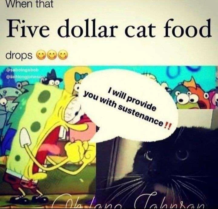 ok goodnight | Fandom