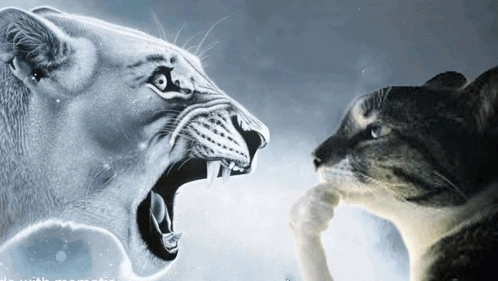 low key dead ass | Fandom