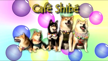 Category:Characters | Café Shibé Wiki | Fandom