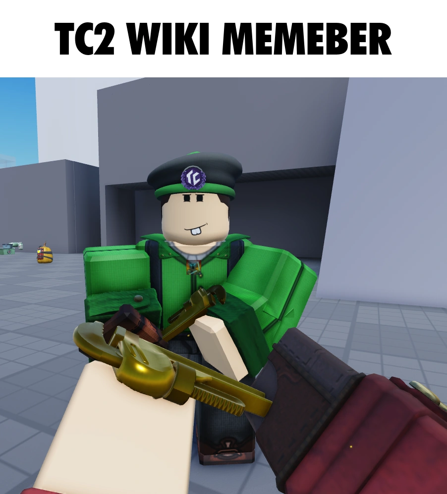 Average Wiki Member | Fandom