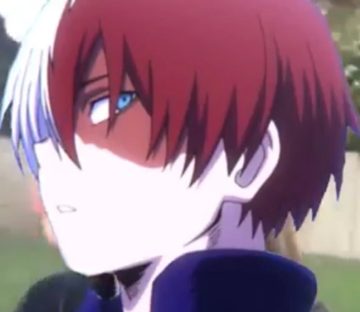 Is it just me, or does Shoto’s eye look beautiful here? | Fandom
