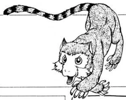 Notharctus | Cage of Eden Wiki | Fandom