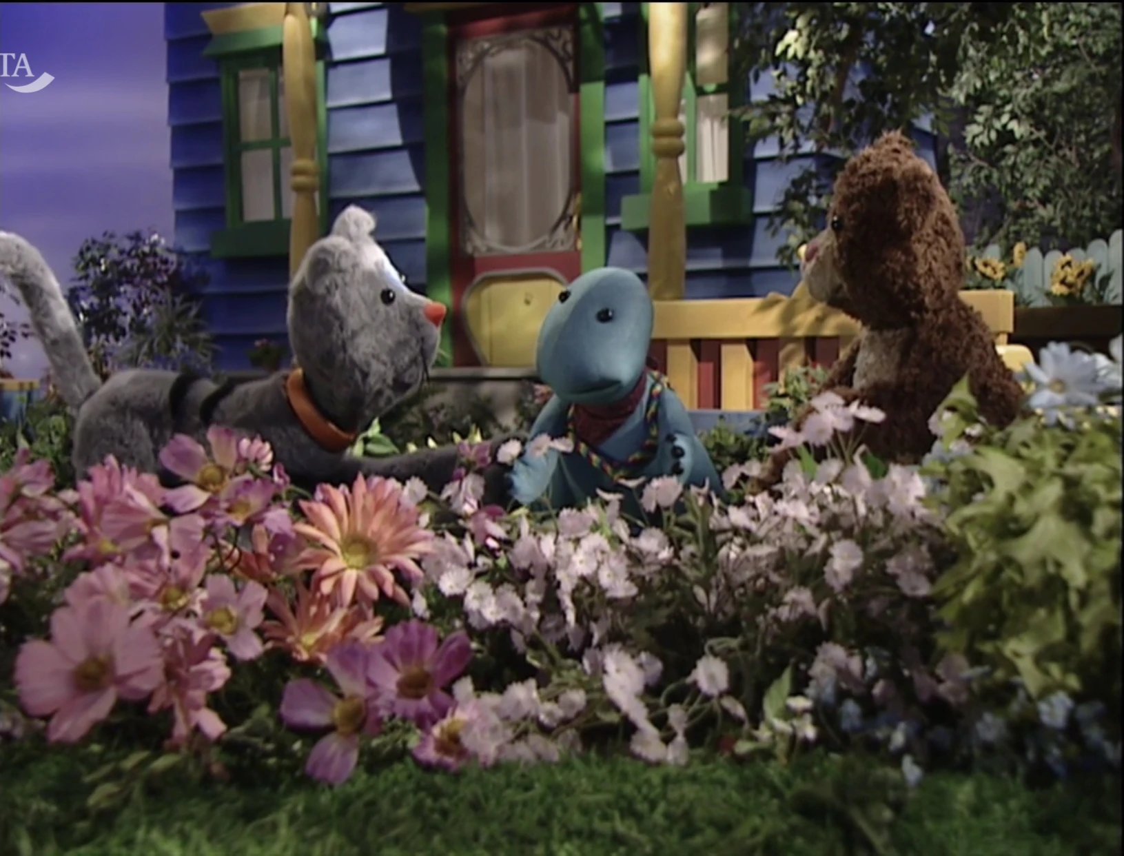 Caillou Rexy Teddy Gilbert