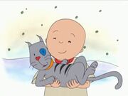 Caillou Looks for Gilbert | Caillou Wiki | Fandom