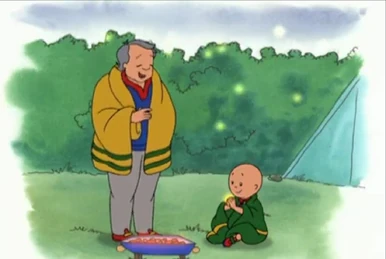 Caillou Pool Meme