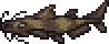 Catfish (enemy) - Calamity Mod Wiki