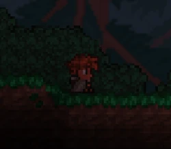 Secret player names - Calamity Mod Wiki
