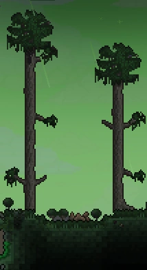 The Swamp - Calamity Mod Wiki