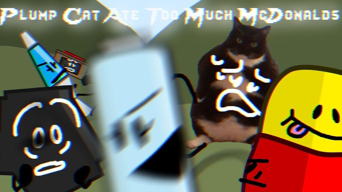 Plump Cat Ate Too Much Mcdonalds Calculated Battlegrounds Wiki Fandom