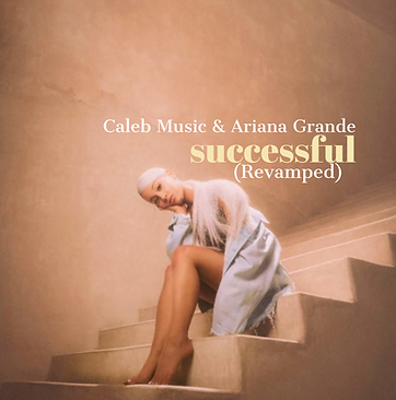 Successful (Revamped) | HoneymoonButera Wiki | Fandom