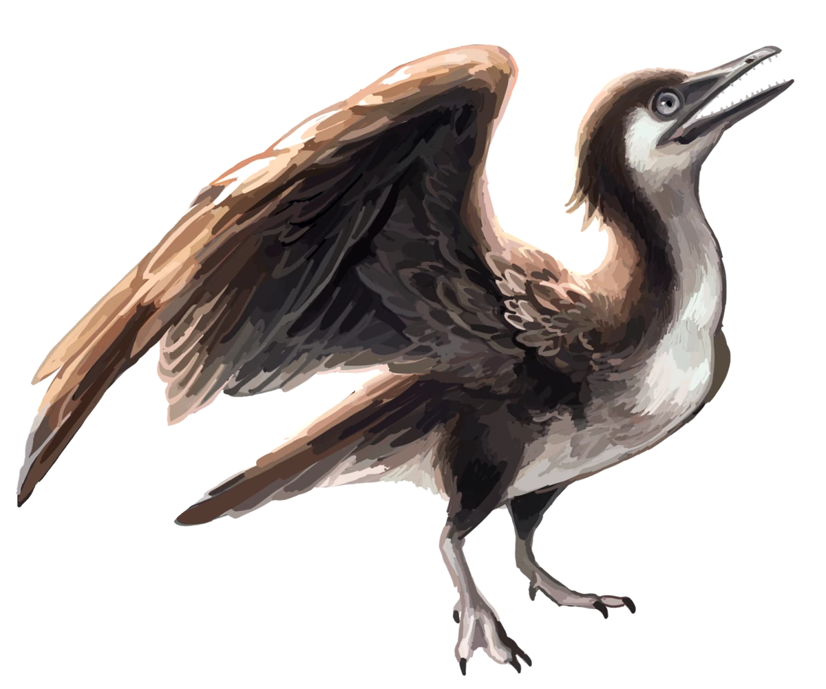 Bird Medley Calendar | Calendar Wiki | Fandom