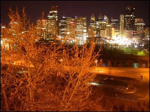 Restaurants | Calgary Wiki | Fandom