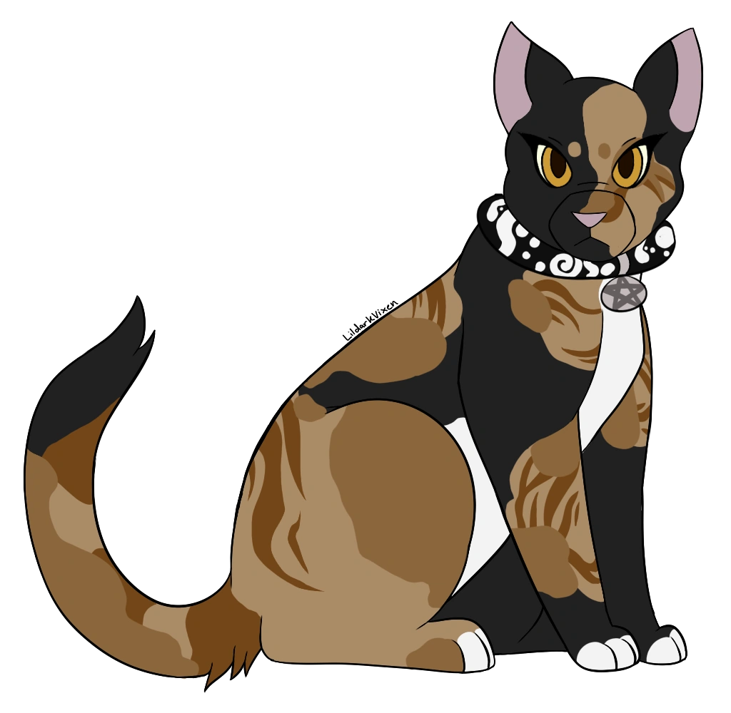 Adikia | CalicosWarriorsRP Wiki | Fandom