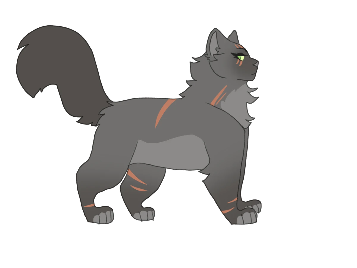 Ashfall | CalicosWarriorsRP Wiki | Fandom