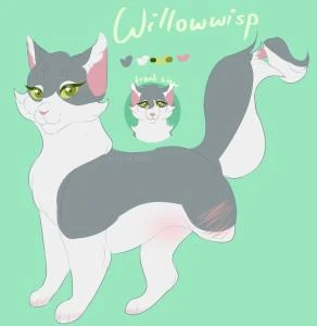 Willowwisp | CalicosWarriorsRP Wiki | Fandom