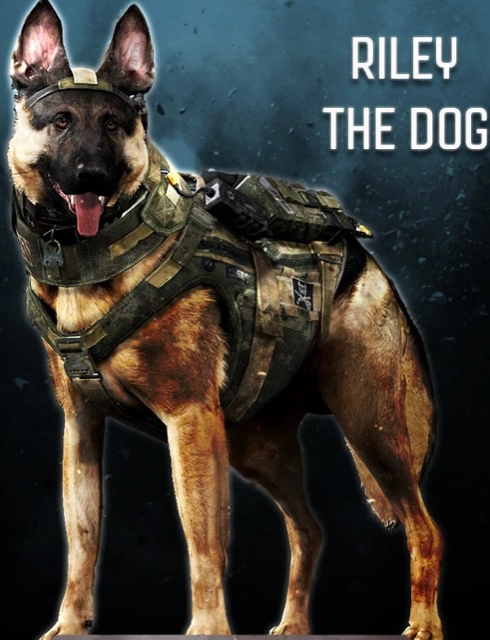Riley | Call of Duty: Heroes Wiki | Fandom