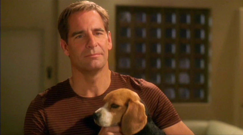 Steven Fleck | Call of nightmares Wiki | Fandom