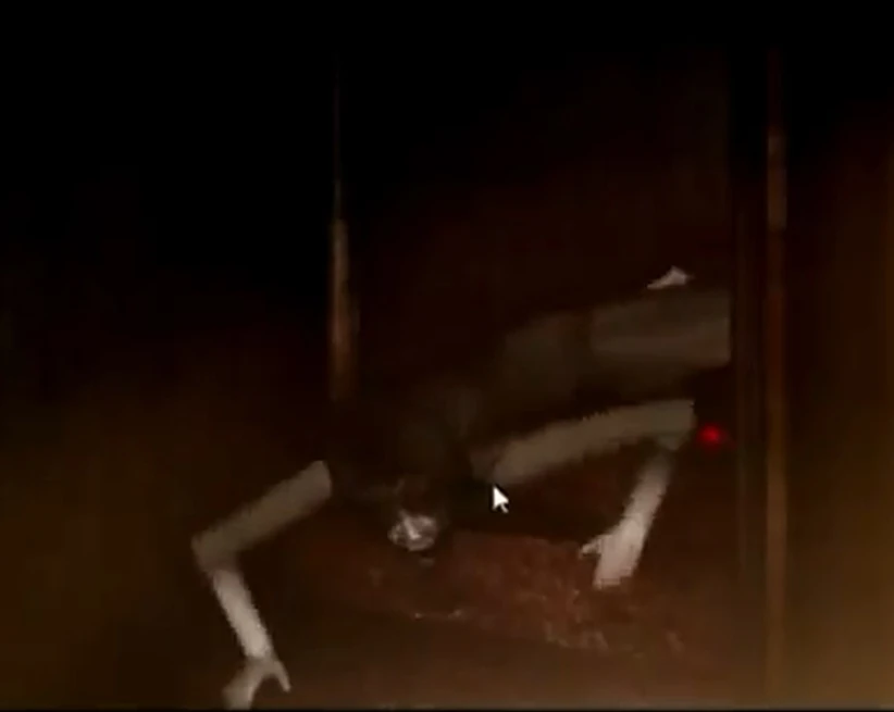 Crawling Ghost | Calling Wiki | Fandom