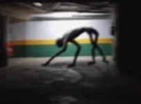 Entity 28: "Hounds" | Callistian Clusters Wiki | Fandom