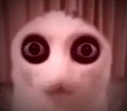 Entity 42 - False Cats | Callistian Clusters Wiki | Fandom