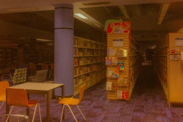 Level 95 - "The Chilling Library" | Callistian Clusters Wiki | Fandom