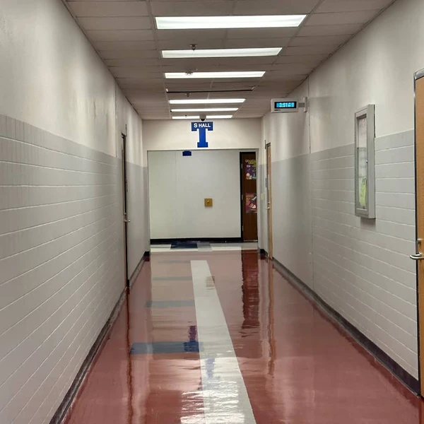 Level 235 - imissu | Callistian Clusters Wiki | Fandom