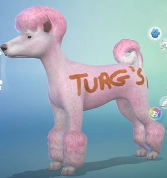 Fatima Chafik. | CallMeKevin Wiki | Fandom