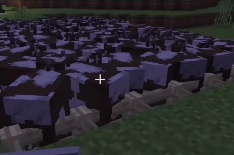 Kevin's inbred cows | CallMeKevin Wiki | Fandom