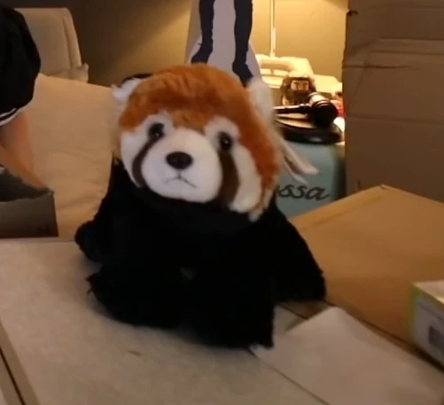 Echo | CallMeKevin Wiki | Fandom