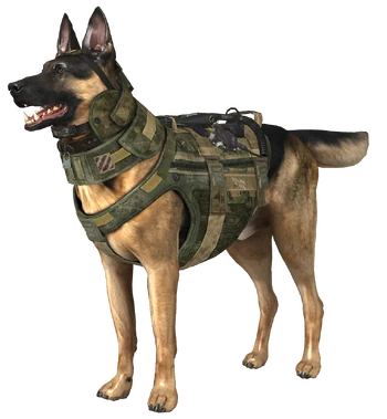 Dog | Call of Duty Wiki | Fandom