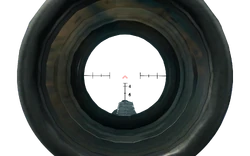 Acog Sight View