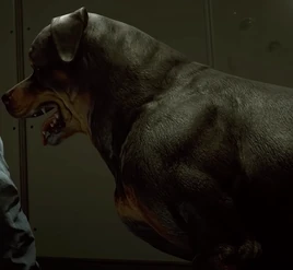 Notso Fluffy | Call of Duty Wiki | Fandom